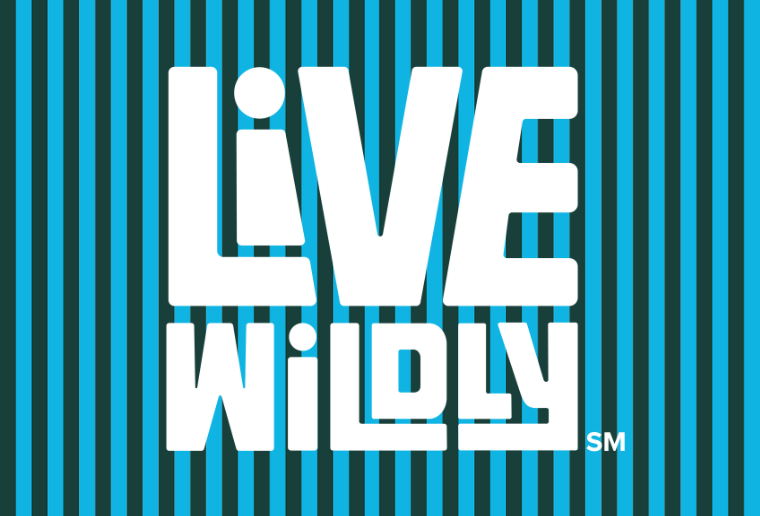 About | Sing Out Loud